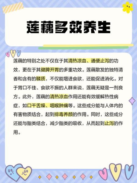 藕水能天天喝吗_藕水的功效与作用-第1张图片-山城妙识