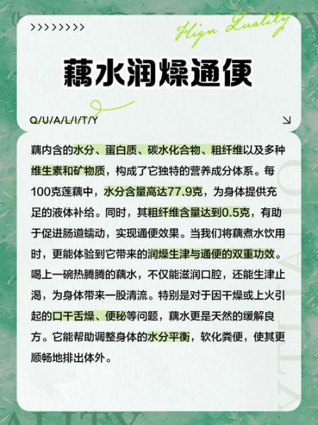 藕水能天天喝吗_藕水的功效与作用-第2张图片-山城妙识