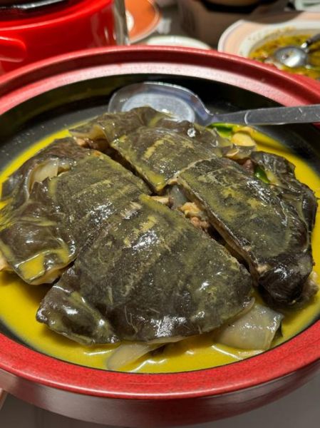 甲鱼和什么一起炖最好_甲鱼炖汤最佳搭配-第1张图片-山城妙识