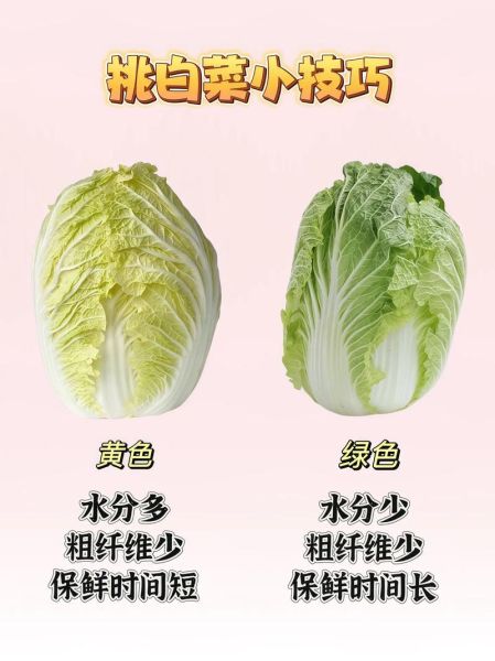 蔬菜批发生意进货技巧_如何挑选优质货源-第2张图片-山城妙识 蔬菜批发生意进货技巧_如何挑选优质货源-第2张图片-山城妙识