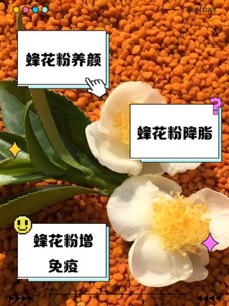 花粉什么时候喝效果最佳_花粉饭前还是饭后喝-第3张图片-山城妙识 花粉什么时候喝效果最佳_花粉饭前还是饭后喝-第3张图片-山城妙识