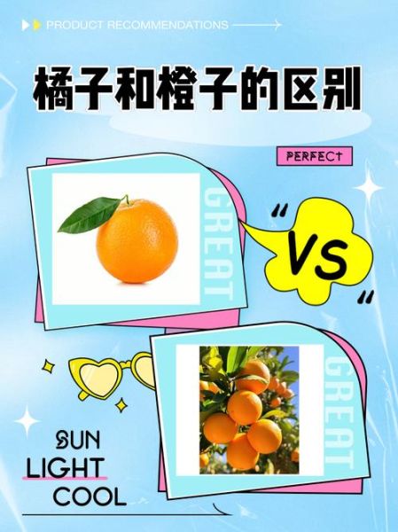 orange是橘子还是橙子_orange和橘子的区别-第1张图片-山城妙识 orange是橘子还是橙子_orange和橘子的区别-第1张图片-山城妙识