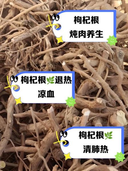 枸杞根煲汤有什么功效_枸杞根煲汤的做法步骤-第2张图片-山城妙识