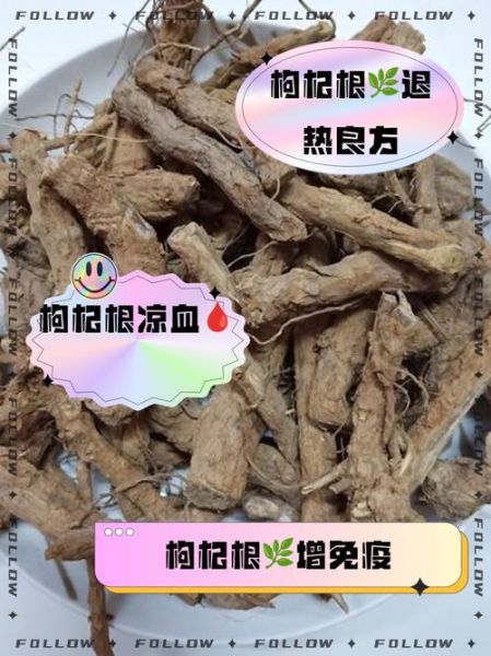 枸杞根煲汤有什么功效_枸杞根煲汤的做法步骤-第1张图片-山城妙识