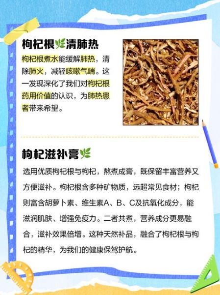 枸杞根煲汤有什么功效_枸杞根煲汤的做法步骤-第3张图片-山城妙识