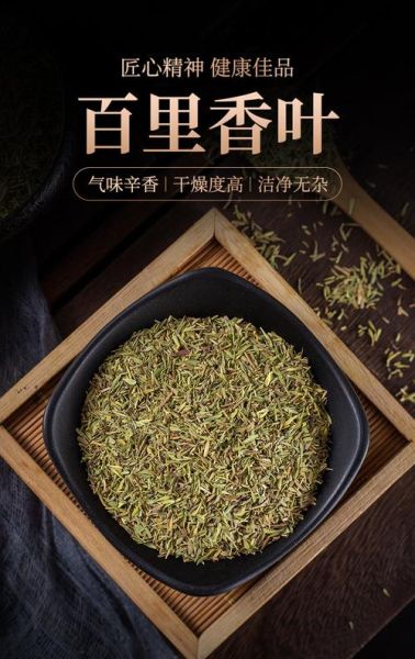 百里香图片干香料_如何挑选与保存-第1张图片-山城妙识