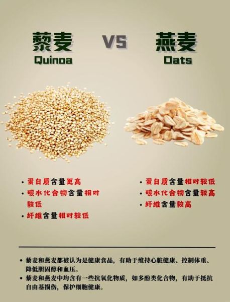 燕麦茶的功效与作用_燕麦茶可以天天喝吗-第1张图片-山城妙识 燕麦茶的功效与作用_燕麦茶可以天天喝吗-第1张图片-山城妙识