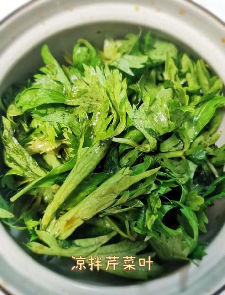 芹菜叶子怎么炒好吃_芹菜叶子能做什么菜-第2张图片-山城妙识 芹菜叶子怎么炒好吃_芹菜叶子能做什么菜-第2张图片-山城妙识