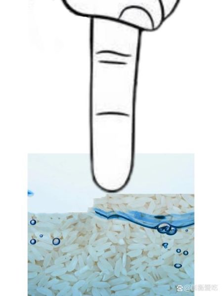 一碗米放多少水_蒸米饭水米比例-第1张图片-山城妙识 一碗米放多少水_蒸米饭水米比例-第1张图片-山城妙识