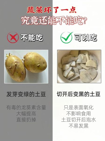 土豆发芽了把芽去掉还能吃吗_土豆长芽削掉后有毒吗-第1张图片-山城妙识 土豆发芽了把芽去掉还能吃吗_土豆长芽削掉后有毒吗-第1张图片-山城妙识