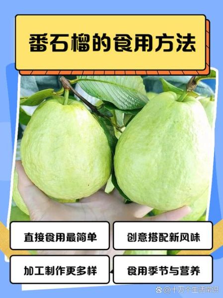 番石榴降血糖吗_番石榴怎么吃降糖效果好-第2张图片-山城妙识 番石榴降血糖吗_番石榴怎么吃降糖效果好-第2张图片-山城妙识