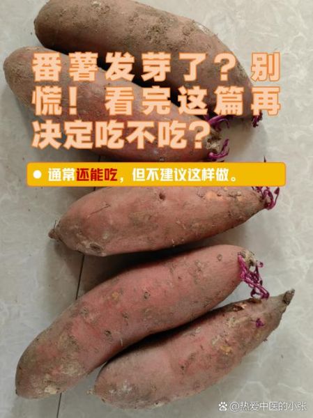 大薯怎么保存不发芽_大薯发芽还能吃吗-第1张图片-山城妙识