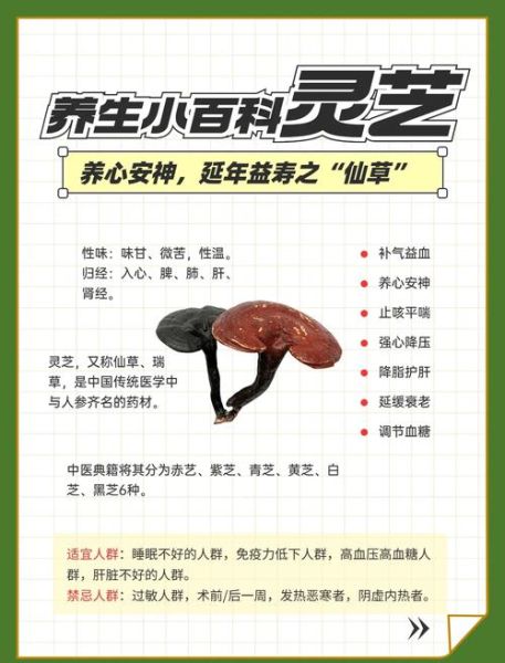 灵芝的副作用太大了_如何安全服用-第1张图片-山城妙识