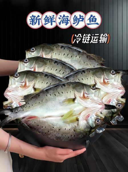 海鲈鱼图片多少钱一斤_海鲈鱼价格行情-第2张图片-山城妙识