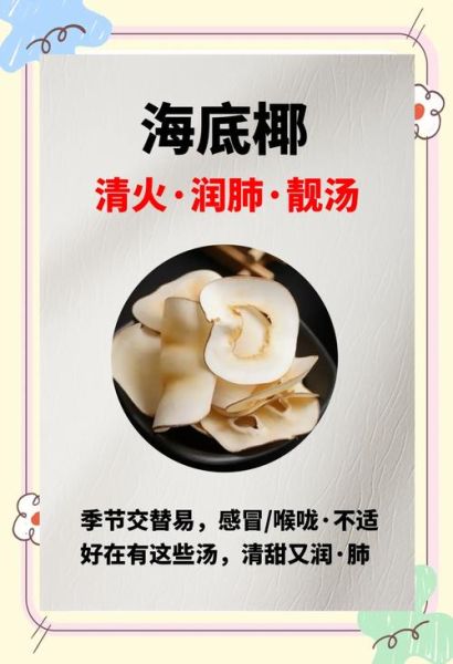 新鲜海底椰怎么挑选_海底椰煲汤做法大全-第2张图片-山城妙识