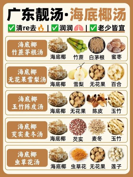 新鲜海底椰怎么挑选_海底椰煲汤做法大全-第3张图片-山城妙识