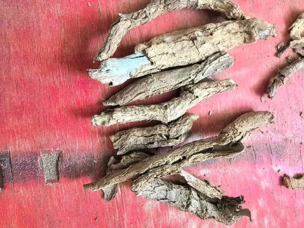 地骨皮图片长什么样_地骨皮真假辨别方法-第3张图片-山城妙识