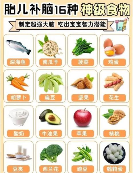 孕期吃什么对宝宝智力好_孕期饮食如何安排-第3张图片-山城妙识 孕期吃什么对宝宝智力好_孕期饮食如何安排-第3张图片-山城妙识