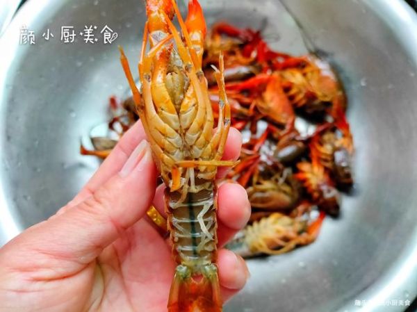 大龙虾死了24小时还能吃吗_死了多久不能吃-第3张图片-山城妙识