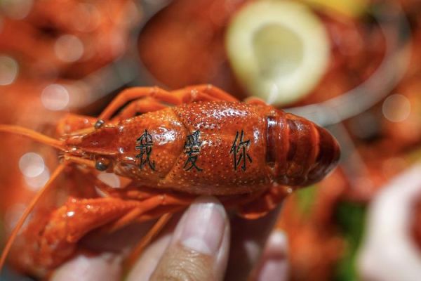 大龙虾死了24小时还能吃吗_死了多久不能吃-第2张图片-山城妙识