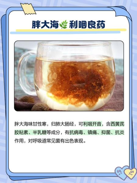 胖大海的功效与作用_胖大海的禁忌人群-第1张图片-山城妙识