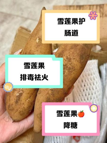 女人常吃雪莲果的好处_雪莲果对女性有哪些功效-第2张图片-山城妙识 女人常吃雪莲果的好处_雪莲果对女性有哪些功效-第2张图片-山城妙识