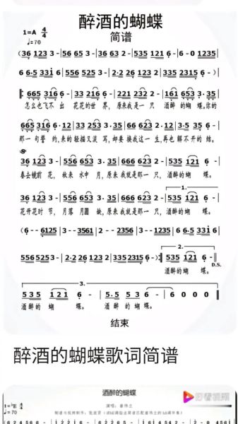 酒醉的蝴蝶歌词含义_为何让人上头-第1张图片-山城妙识 酒醉的蝴蝶歌词含义_为何让人上头-第1张图片-山城妙识