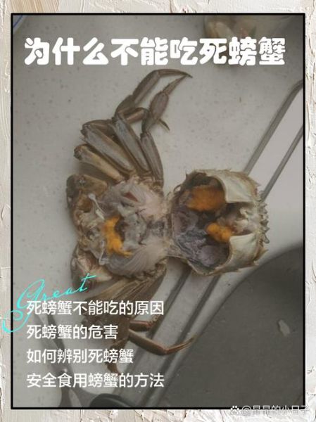 死河蟹能吃吗_河蟹死了多久不能吃-第1张图片-山城妙识 死河蟹能吃吗_河蟹死了多久不能吃-第1张图片-山城妙识