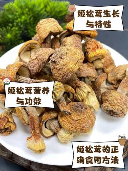 姬松茸怎么吃_姬松茸的做法大全-第1张图片-山城妙识 姬松茸怎么吃_姬松茸的做法大全-第1张图片-山城妙识