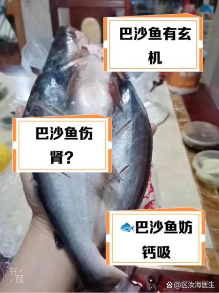 医生说巴沙鱼为什么不能吃_巴沙鱼健康风险-第1张图片-山城妙识 医生说巴沙鱼为什么不能吃_巴沙鱼健康风险-第1张图片-山城妙识