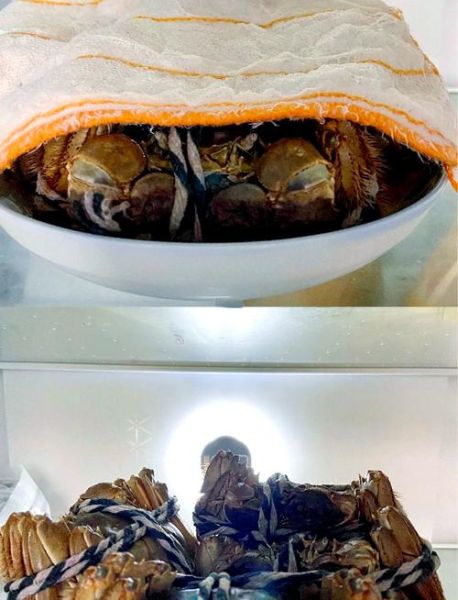 大闸蟹怎么保鲜存放十天_大闸蟹能放冰箱多久-第2张图片-山城妙识 大闸蟹怎么保鲜存放十天_大闸蟹能放冰箱多久-第2张图片-山城妙识