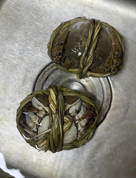 大闸蟹怎么保鲜存放十天_大闸蟹能放冰箱多久-第1张图片-山城妙识 大闸蟹怎么保鲜存放十天_大闸蟹能放冰箱多久-第1张图片-山城妙识