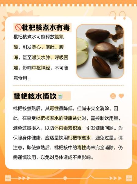 枇杷核能吃吗_枇杷核的功效与作用-第3张图片-山城妙识 枇杷核能吃吗_枇杷核的功效与作用-第3张图片-山城妙识