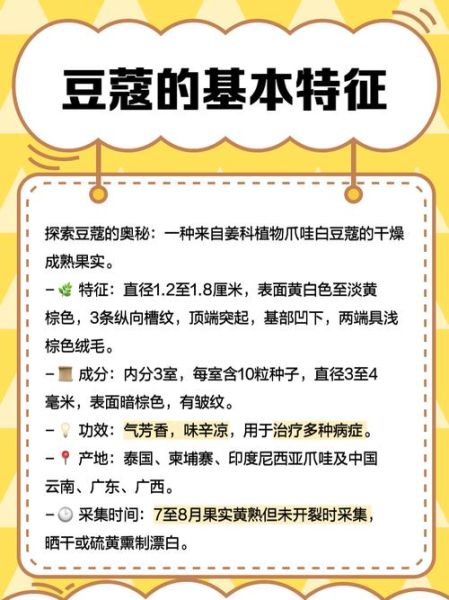 豆蔻是什么意思_豆蔻指什么年龄-第2张图片-山城妙识 豆蔻是什么意思_豆蔻指什么年龄-第2张图片-山城妙识