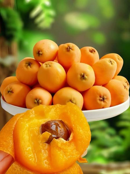 云南特产水果有哪些_云南什么水果最好吃-第1张图片-山城妙识 云南特产水果有哪些_云南什么水果最好吃-第1张图片-山城妙识