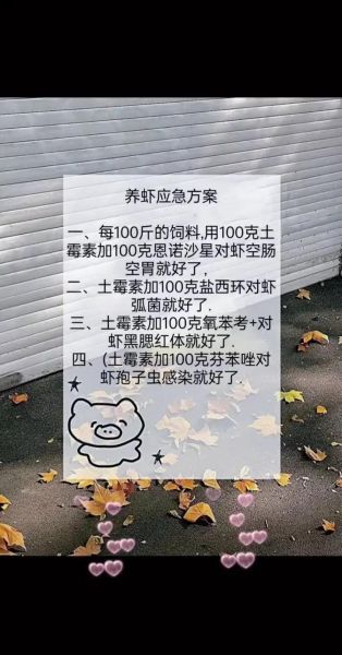 虾养殖技术_如何提高成活率-第3张图片-山城妙识 虾养殖技术_如何提高成活率-第3张图片-山城妙识