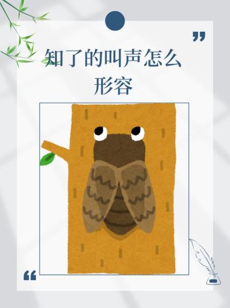 知了叫声视频怎么拍_知了为什么一直叫-第2张图片-山城妙识 知了叫声视频怎么拍_知了为什么一直叫-第2张图片-山城妙识
