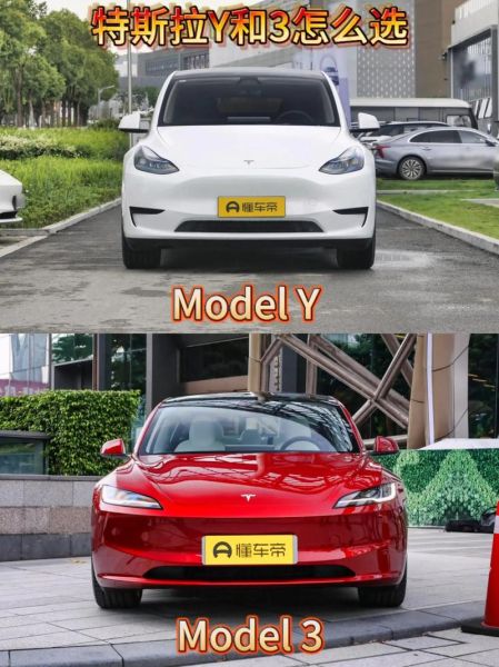 毛豆Y值得买吗_毛豆Y和Model3怎么选-第1张图片-山城妙识 毛豆Y值得买吗_毛豆Y和Model3怎么选-第1张图片-山城妙识