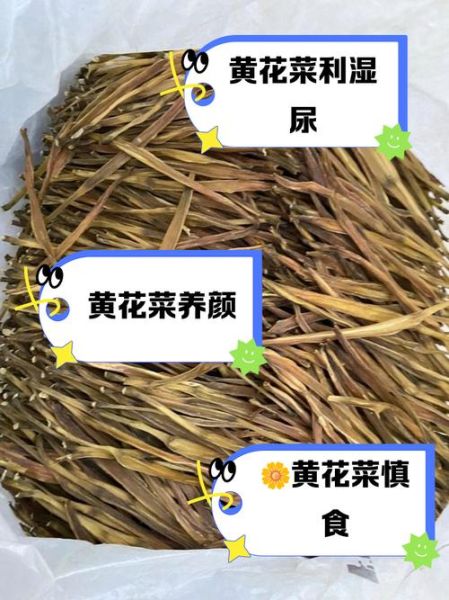干黄花菜的功效与作用禁忌_干黄花菜什么人不能吃-第2张图片-山城妙识 干黄花菜的功效与作用禁忌_干黄花菜什么人不能吃-第2张图片-山城妙识