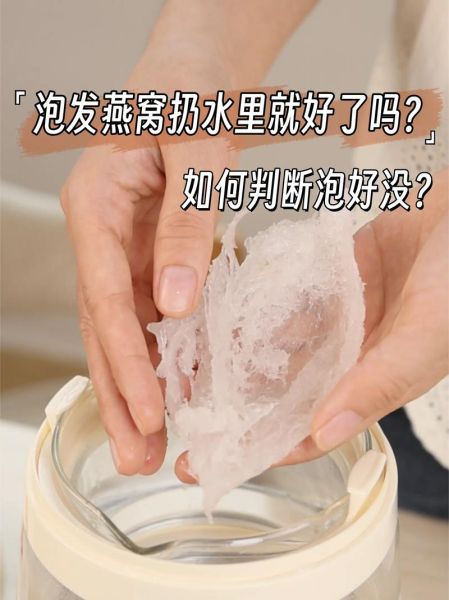 燕窝怎么煮_燕窝泡发多久最好-第3张图片-山城妙识 燕窝怎么煮_燕窝泡发多久最好-第3张图片-山城妙识