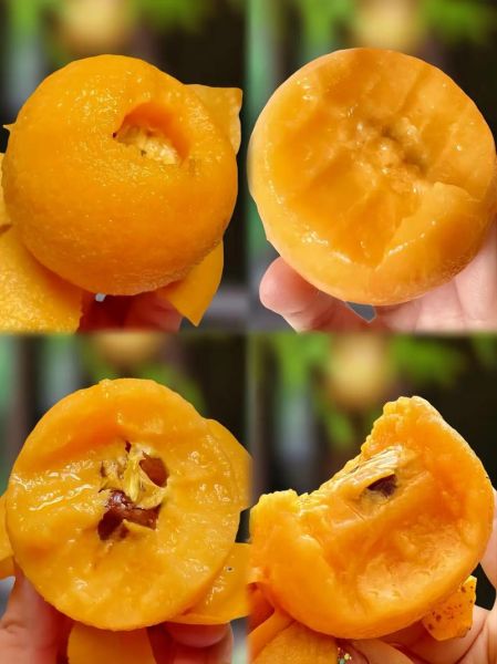 云南特产水果有哪些_云南水果什么时候最好吃-第1张图片-山城妙识 云南特产水果有哪些_云南水果什么时候最好吃-第1张图片-山城妙识