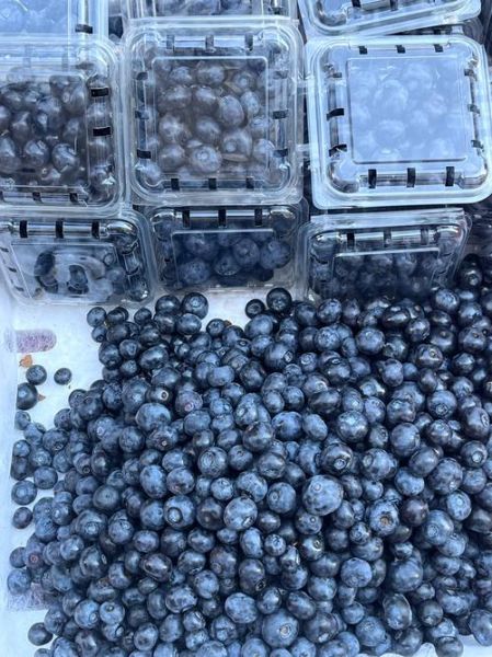 云南特产水果有哪些_云南水果什么时候最好吃-第2张图片-山城妙识 云南特产水果有哪些_云南水果什么时候最好吃-第2张图片-山城妙识