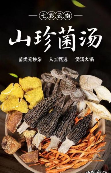 菌子汤是什么梗_菌子汤网络用语含义-第2张图片-山城妙识 菌子汤是什么梗_菌子汤网络用语含义-第2张图片-山城妙识