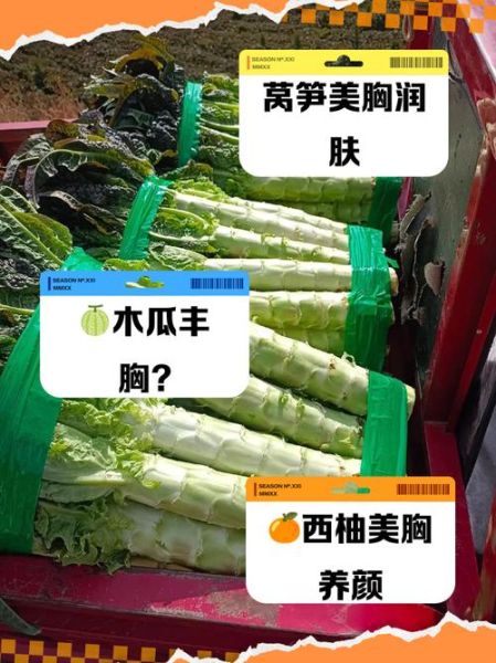 吃什么丰胸最快_吃什么丰胸最有效-第3张图片-山城妙识