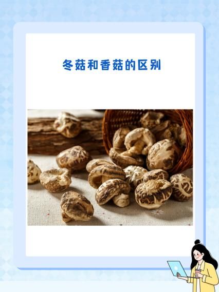 冬菇和香菇的区别_哪个营养价值更高-第1张图片-山城妙识 冬菇和香菇的区别_哪个营养价值更高-第1张图片-山城妙识