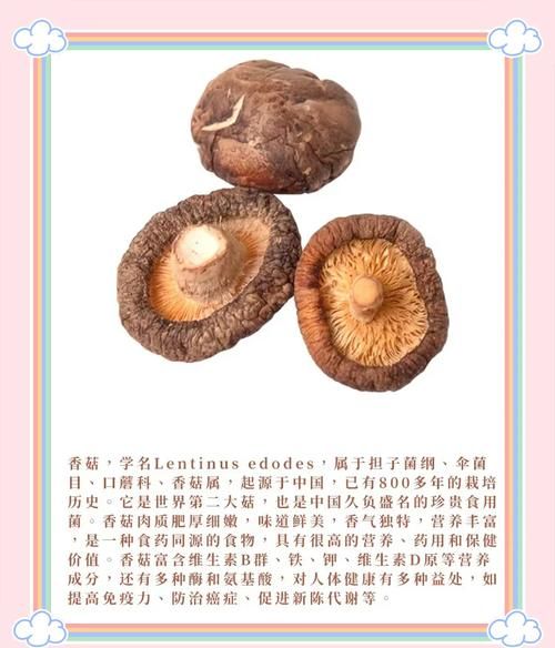 冬菇和香菇的区别_哪个营养价值更高-第3张图片-山城妙识 冬菇和香菇的区别_哪个营养价值更高-第3张图片-山城妙识