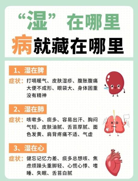 湿气重是什么原因_缺蛋白才是湿气重的原因-第1张图片-山城妙识