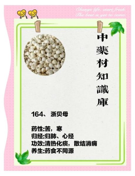 浙贝母的功效与作用_浙贝母怎么吃好-第3张图片-山城妙识