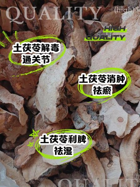 土茯苓能治痛风吗_土茯苓的功效与作用-第1张图片-山城妙识