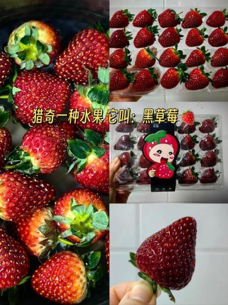 草莓黑科技无限破解下载_真的靠谱吗-第1张图片-山城妙识 草莓黑科技无限破解下载_真的靠谱吗-第1张图片-山城妙识